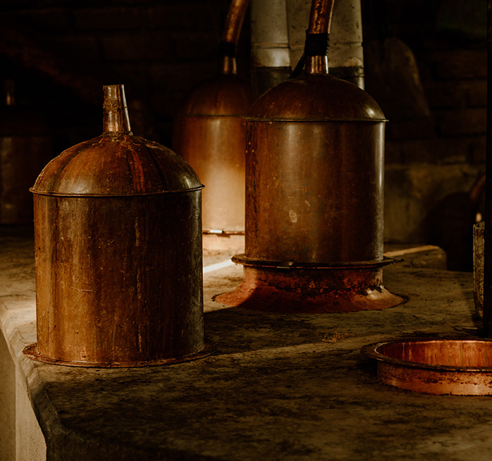 The Process – Mana Tibo Mezcal