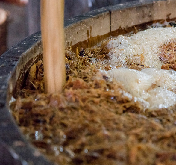 The Process – Mana Tibo Mezcal